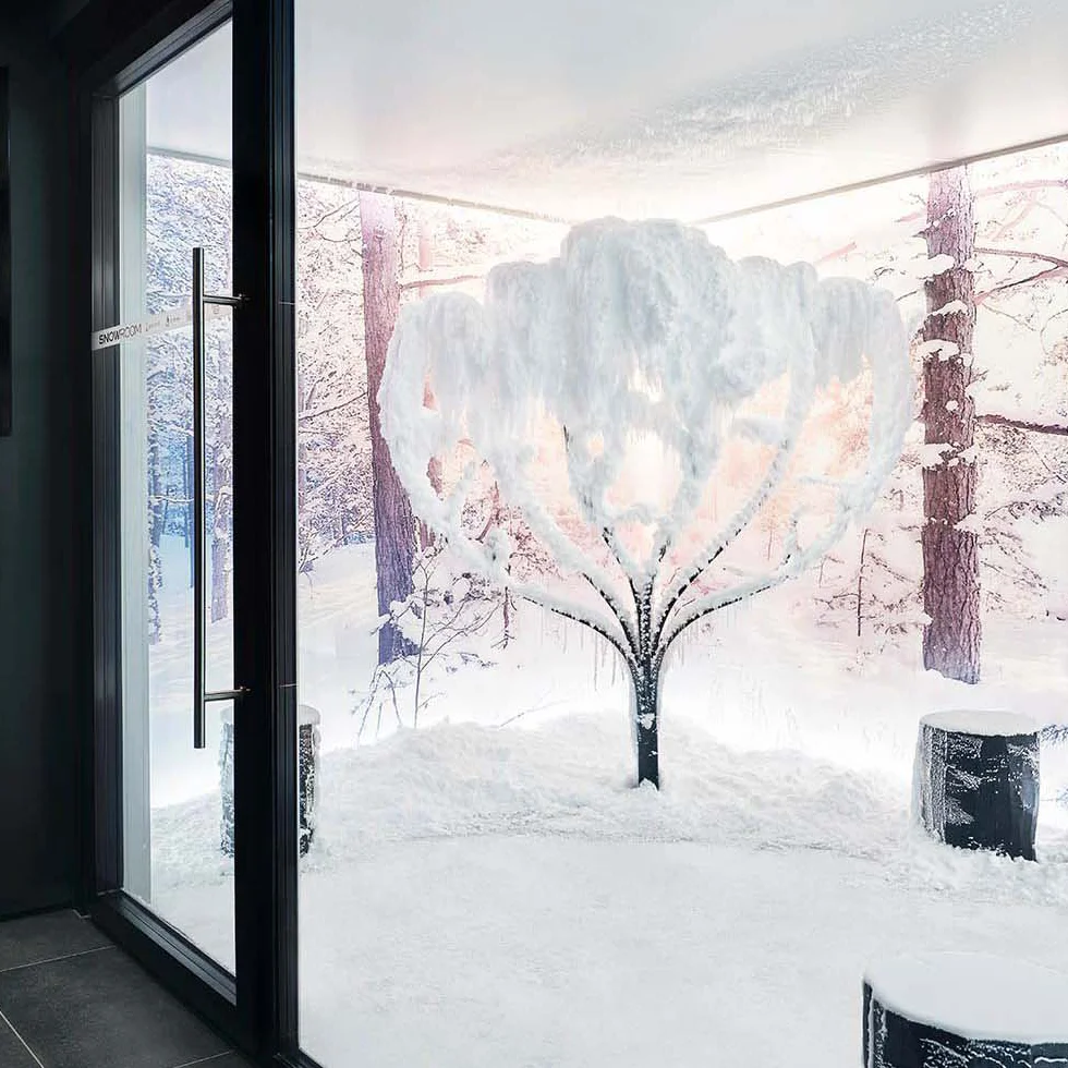 Professional Snow Rooms for Spas & Private Facilities